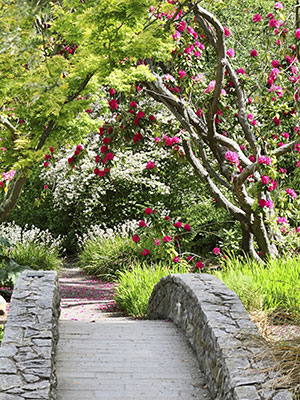 Orlando, Lake Mary and Deltona Garden Design